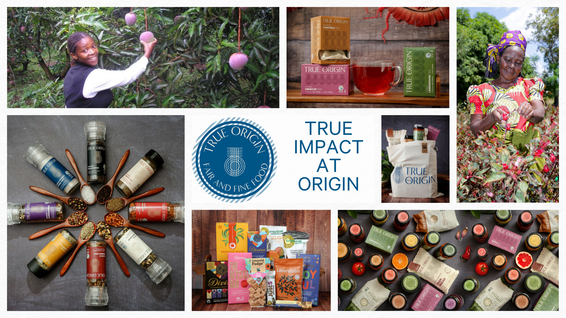 TRUE ORIGIN WHOLESALE – True Origin Wholesale